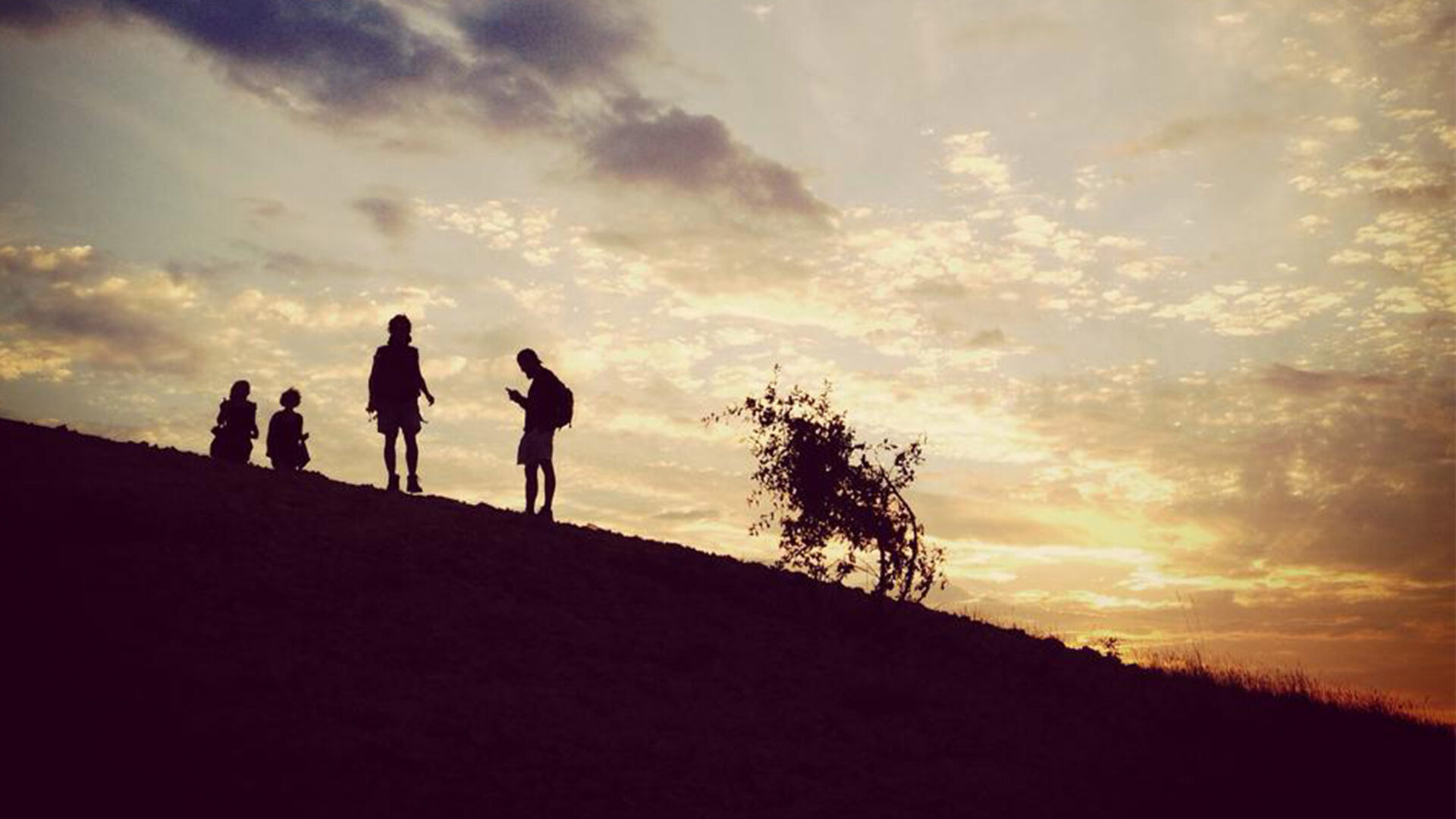 BIOCULTURE | Sineglossa